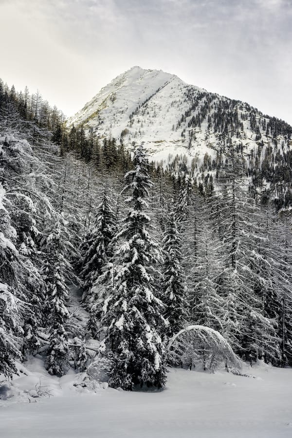 Фон для рабочего стола: зима, зимние, время года, сезоны, сезонные ...